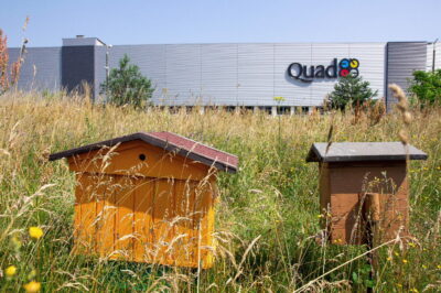 About our company | Quad marketing solutions